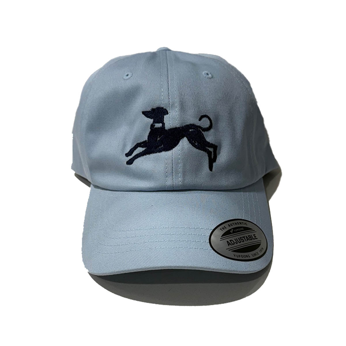 Ball Cap, Light Blue – Appleby College Shop